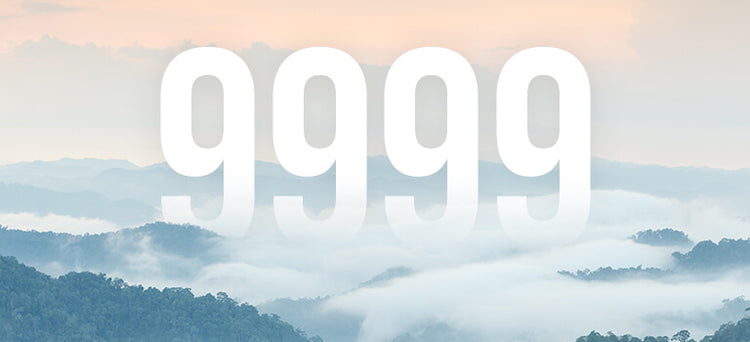 Angle Numbers 9999: A Guide to Spiritual Closure | Solacely